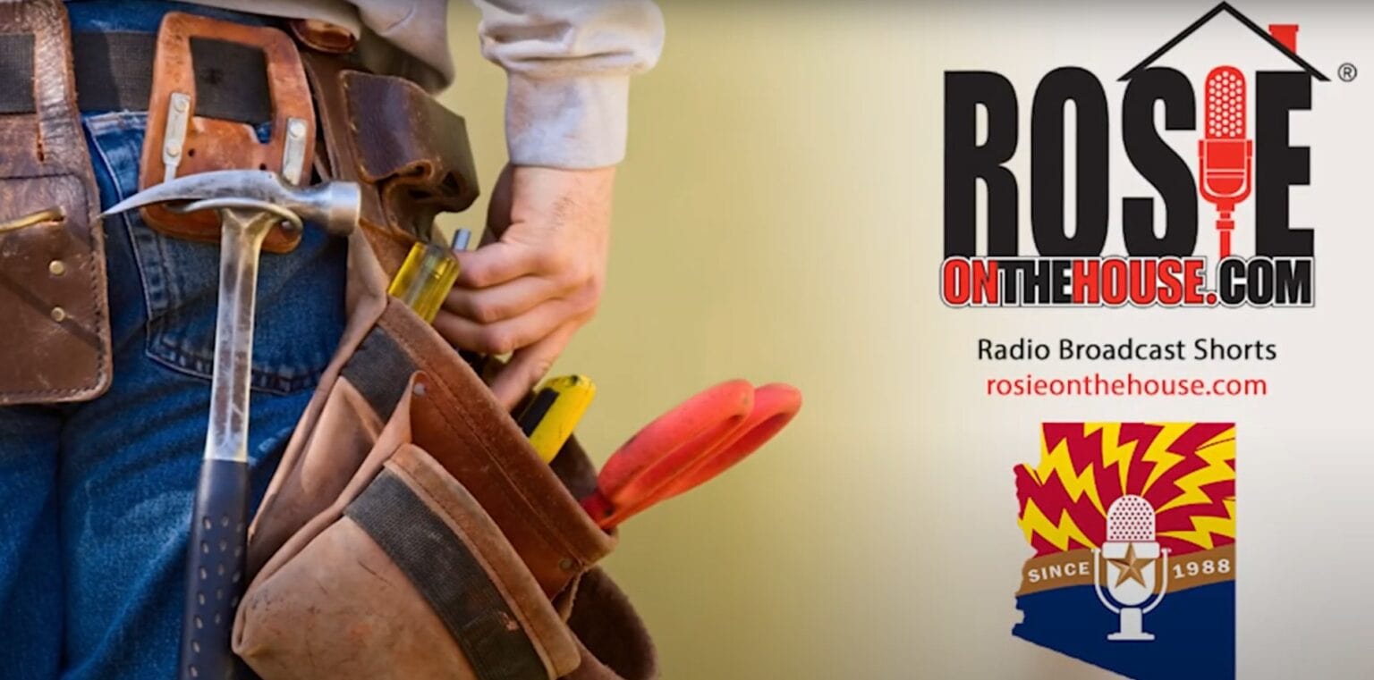 Click below to watch Steve and Challens conversation with host Rosie ...